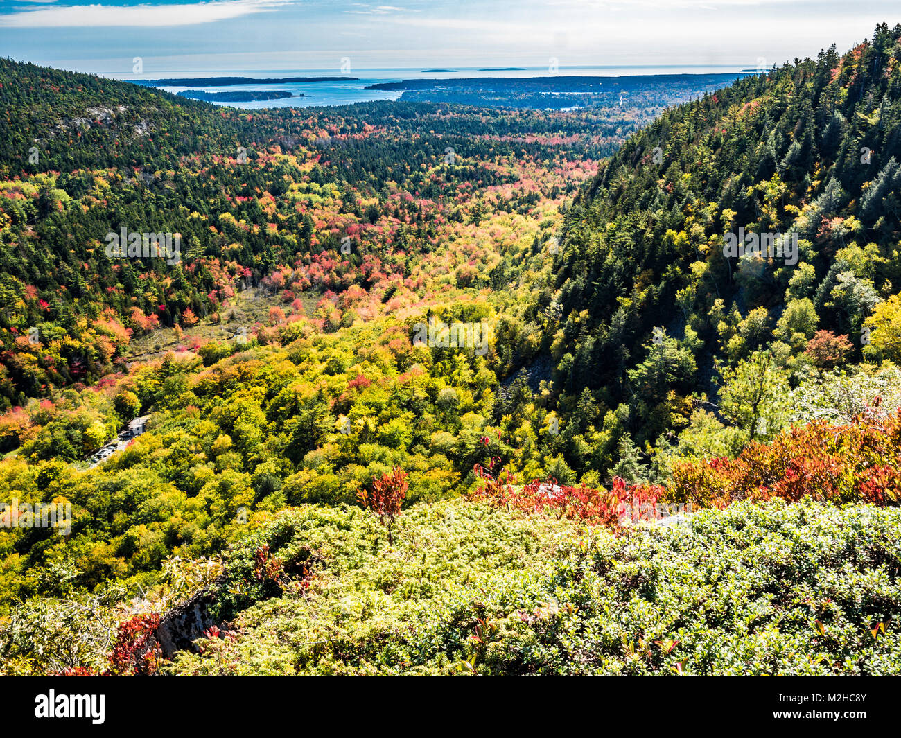 fall color trees acadia np maine Stock Photo - Alamy
