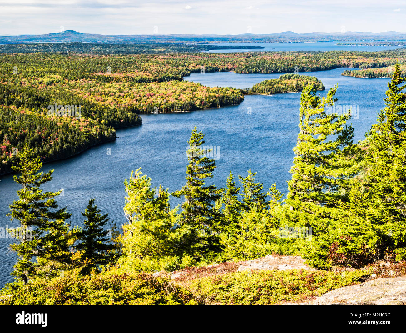 fall color trees acadia np maine Stock Photo - Alamy