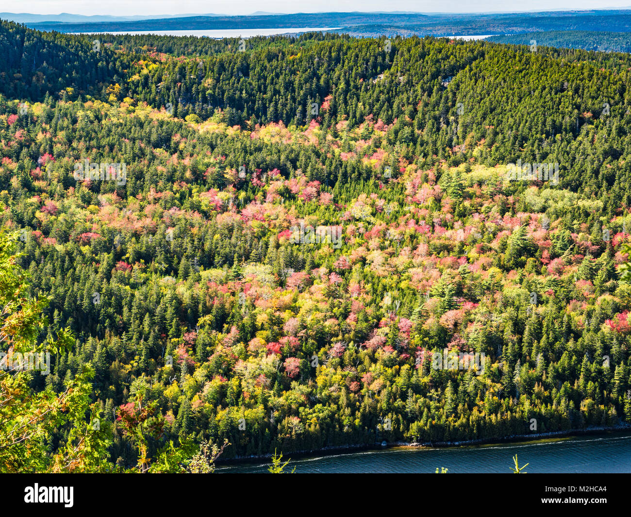 fall color trees acadia np maine Stock Photo - Alamy