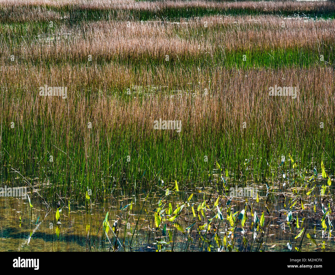Kane path hi-res stock photography and images - Alamy