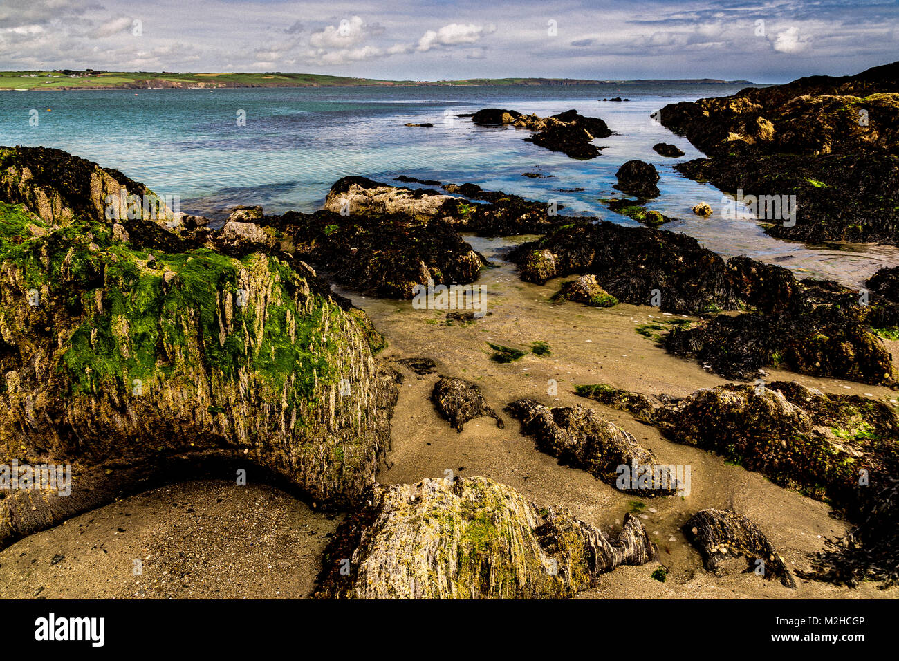 Rocks and seaweed on a sandy beach at Clonakilty, Ireland Stock Photo ...