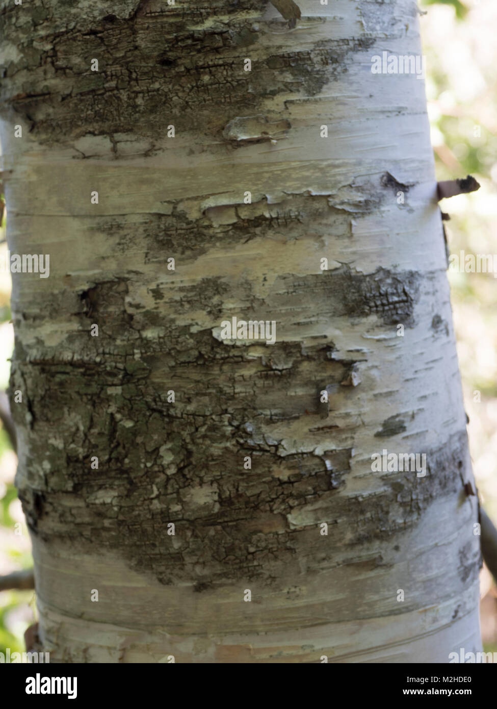 Kane path hi-res stock photography and images - Alamy