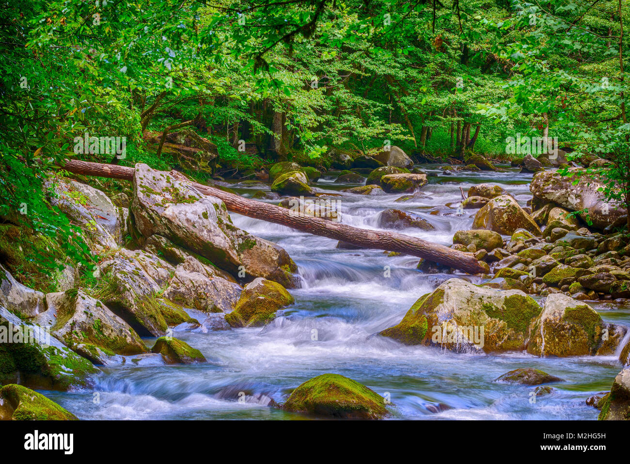 Great smoky mountains national park hi-res stock photography and images ...