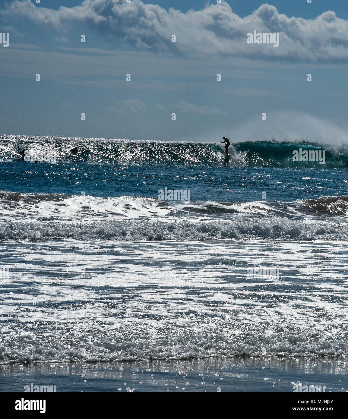 Surfer catching waves in New Zealand Stock Photo - Alamy