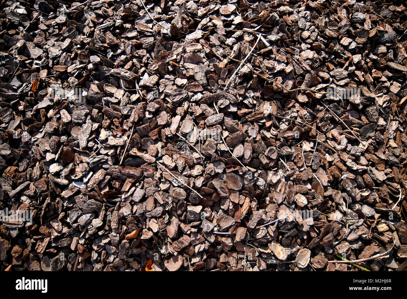 Bark flooring hi-res stock photography and images - Alamy