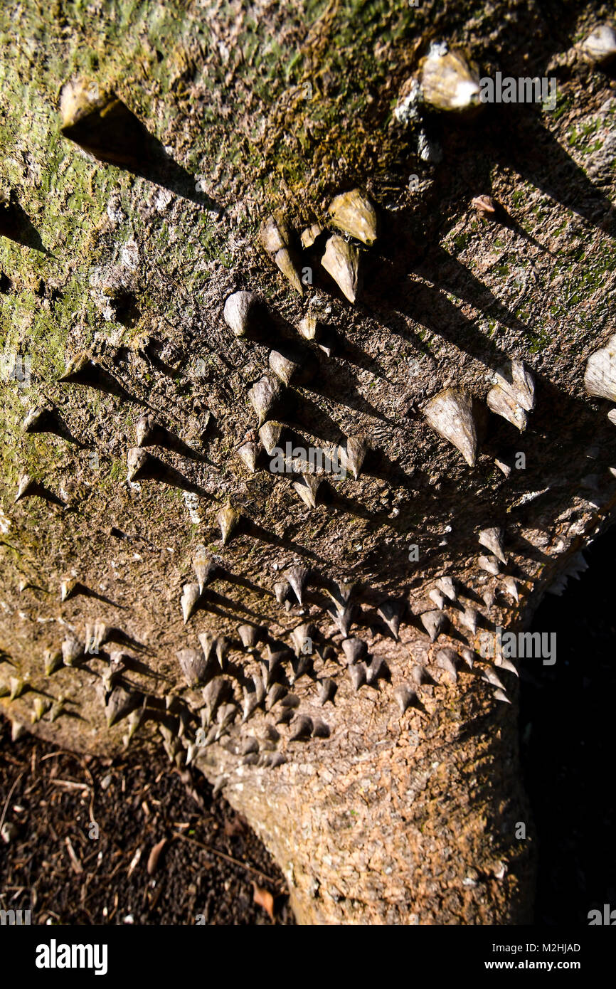 Our special process hi-res stock photography and images - Alamy