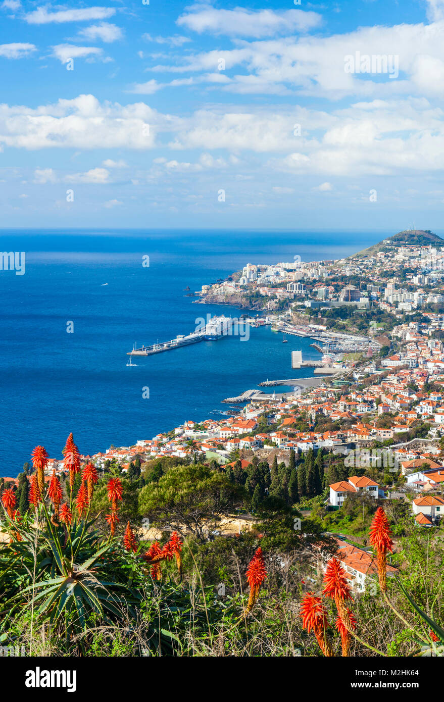 madeira portugal madeira view of Funchal the capital city of Madeira ...
