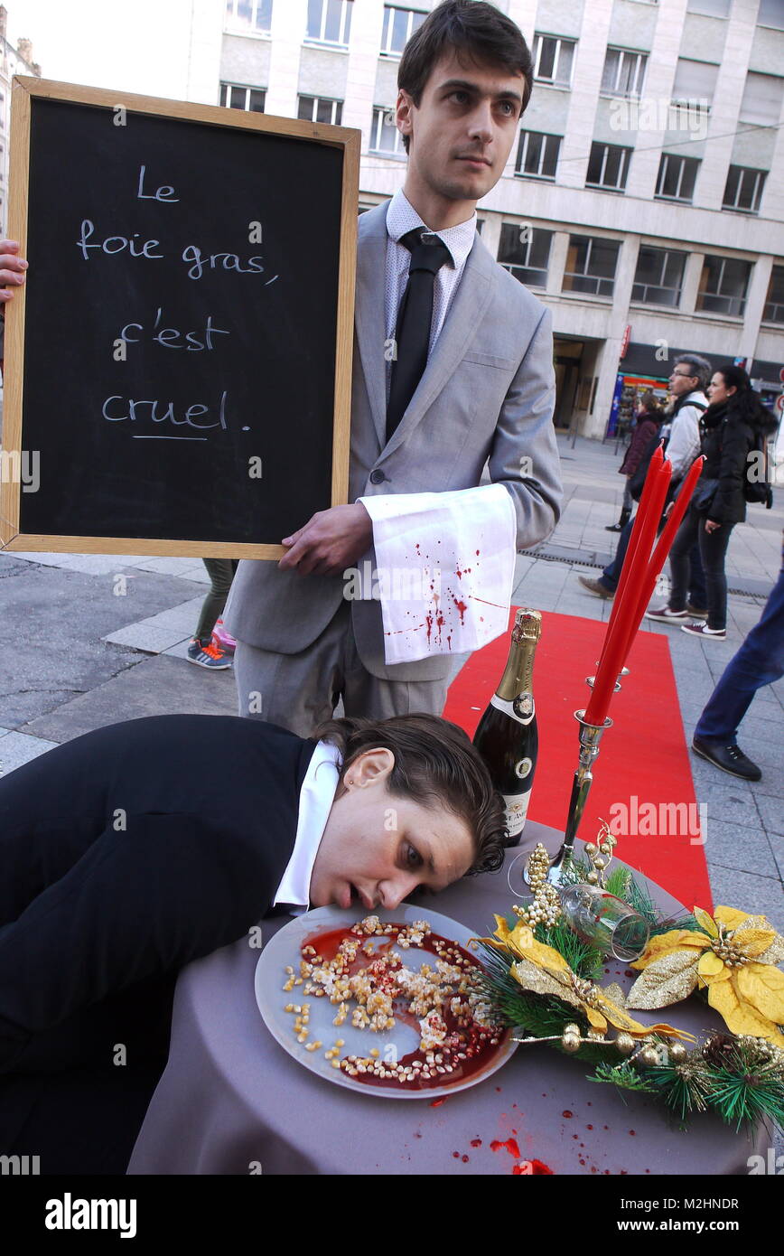 Gavage feeding duck hi-res stock photography and images - Alamy