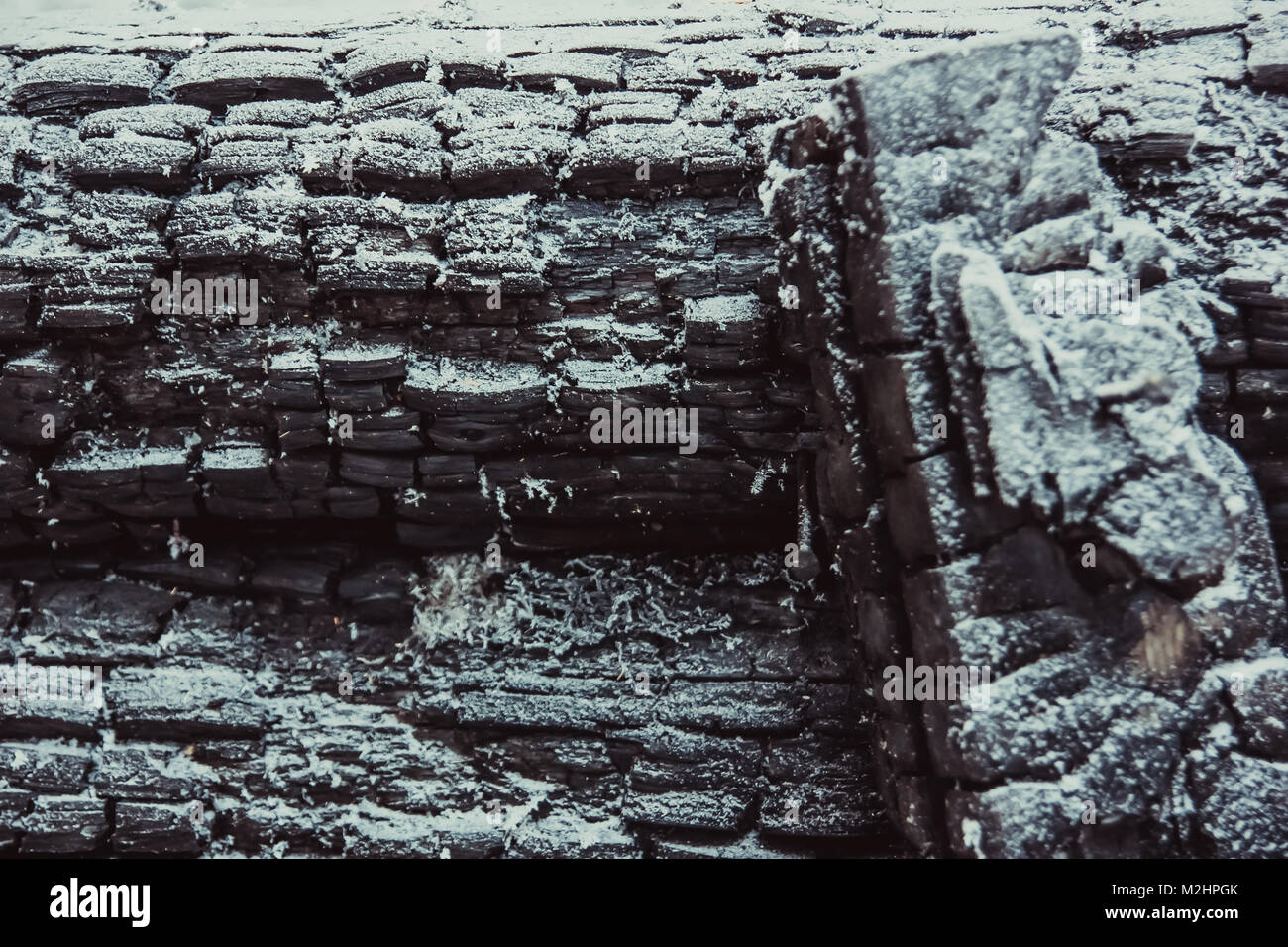 texture of charred wood in the winter in the snow Stock Photo - Alamy