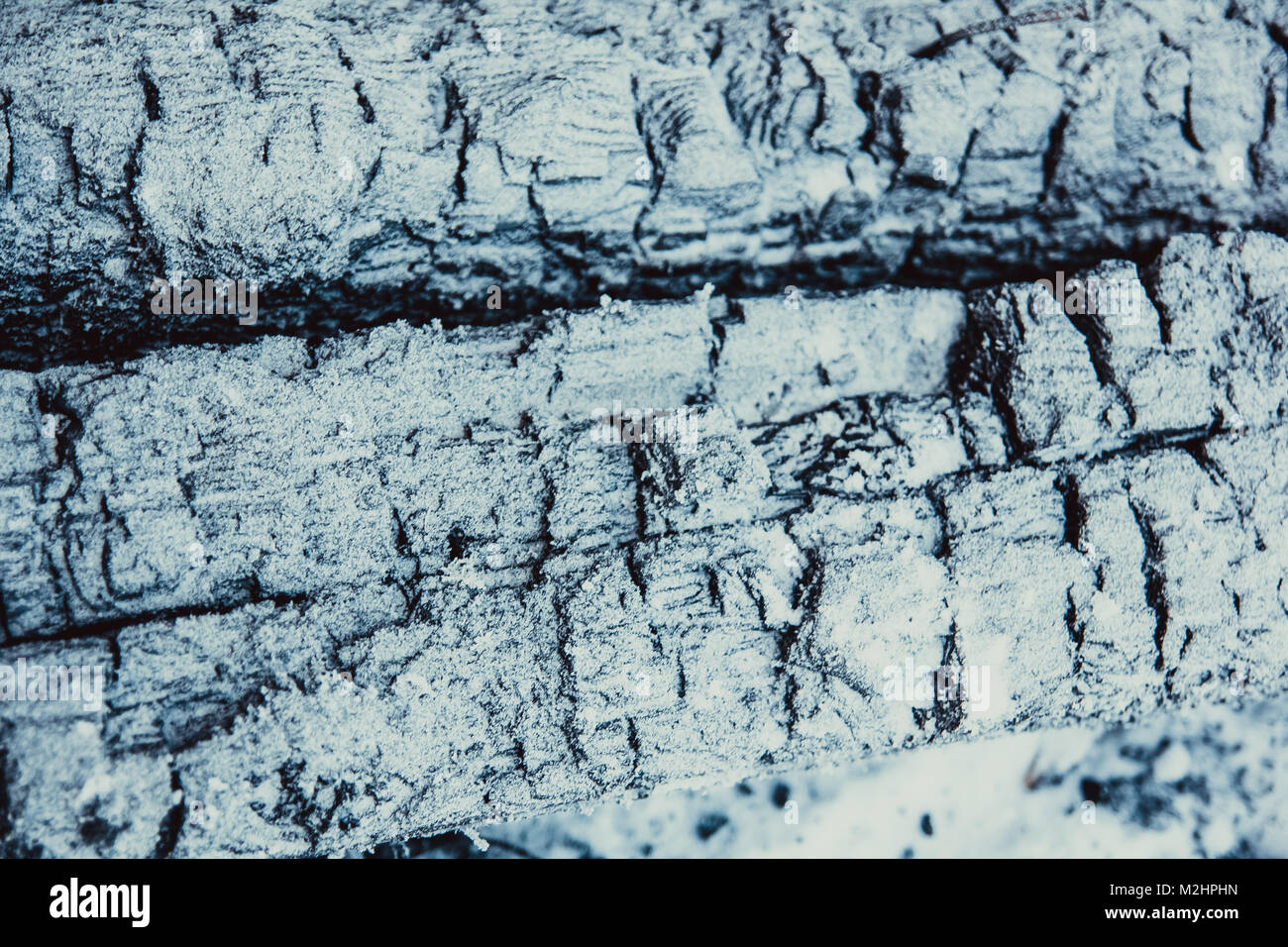 texture of charred wood in the winter in the snow Stock Photo - Alamy