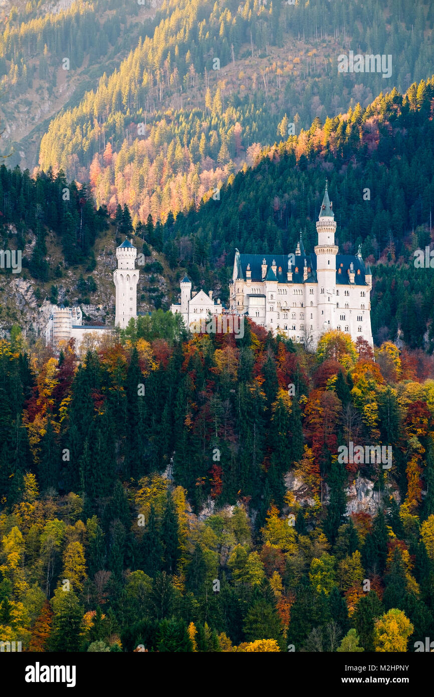 Neuschwansteincastle neuschwanstein hi-res stock photography and images ...