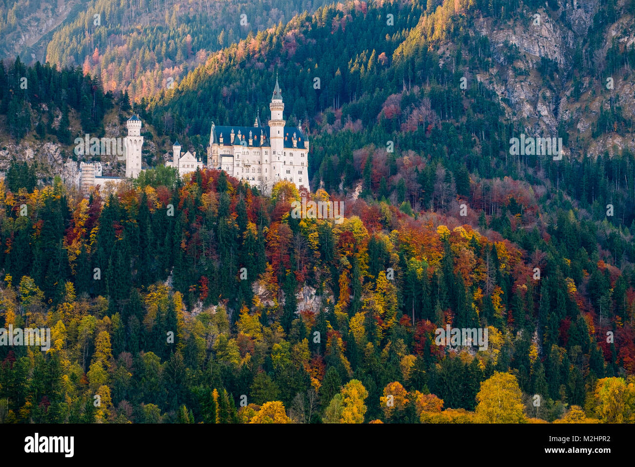 Neuschwanstein castle autumn hi-res stock photography and images - Alamy