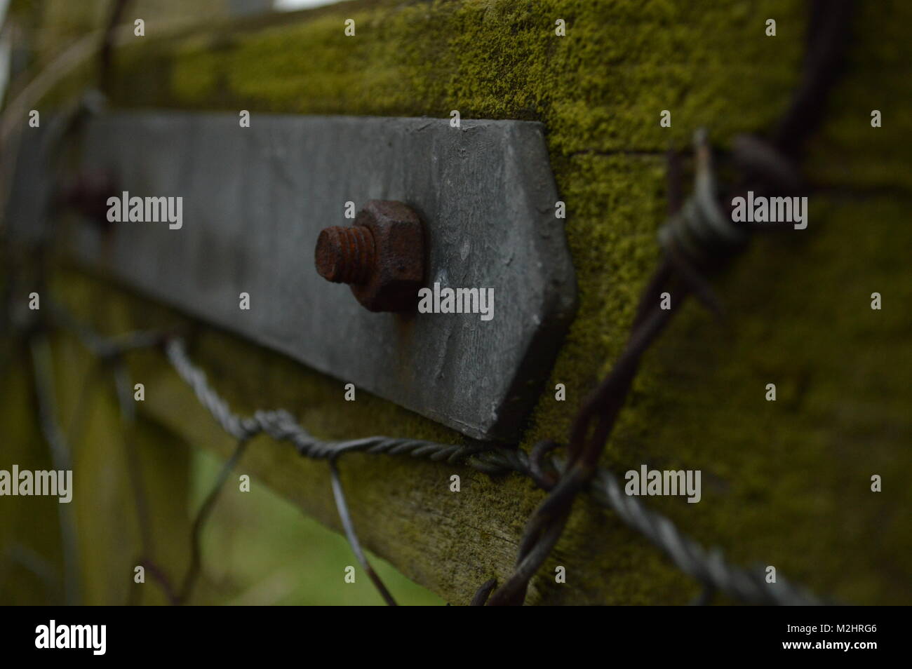 close up of gate Stock Photo - Alamy