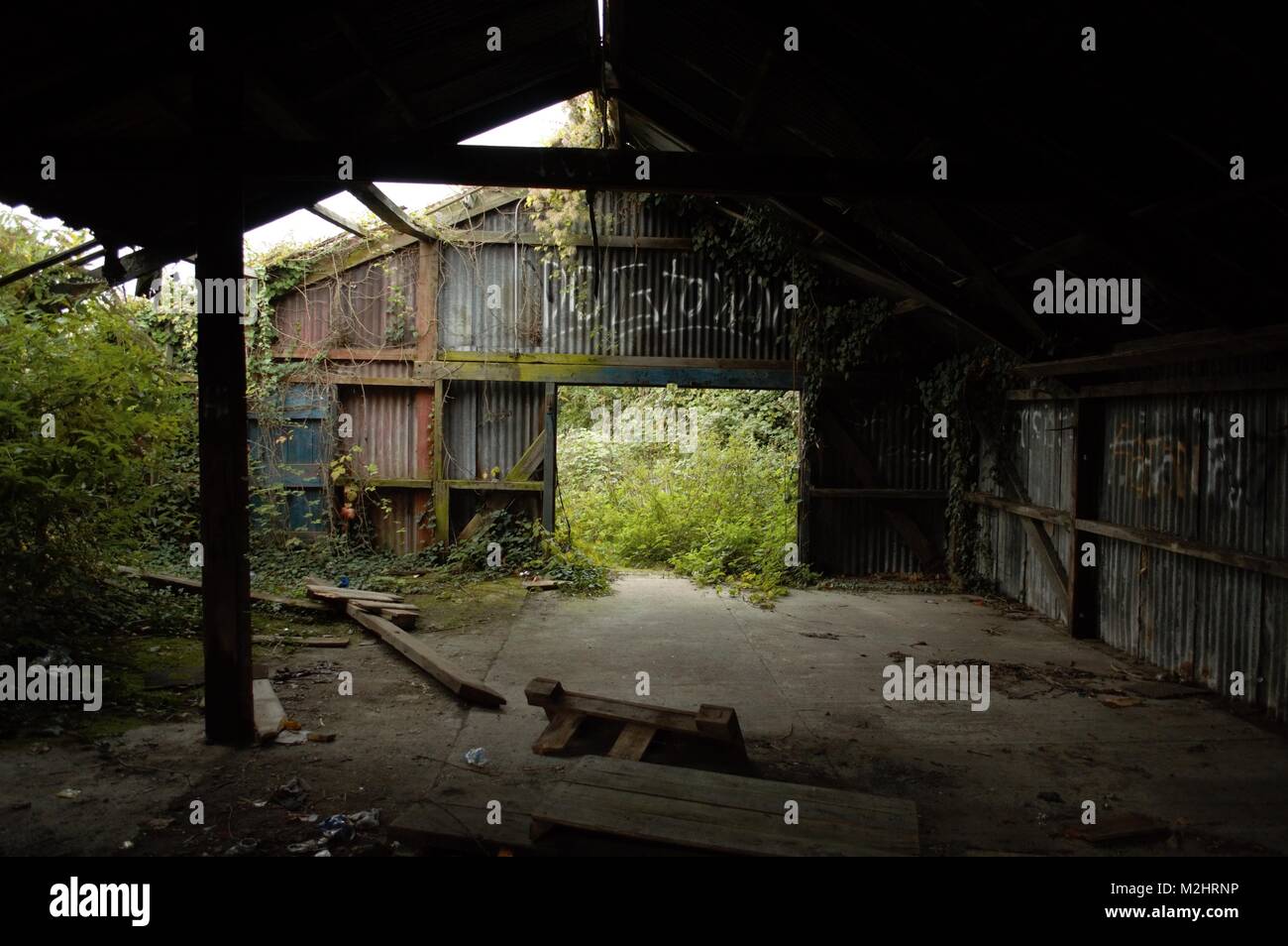 Abandoned shed hi-res stock photography and images - Alamy
