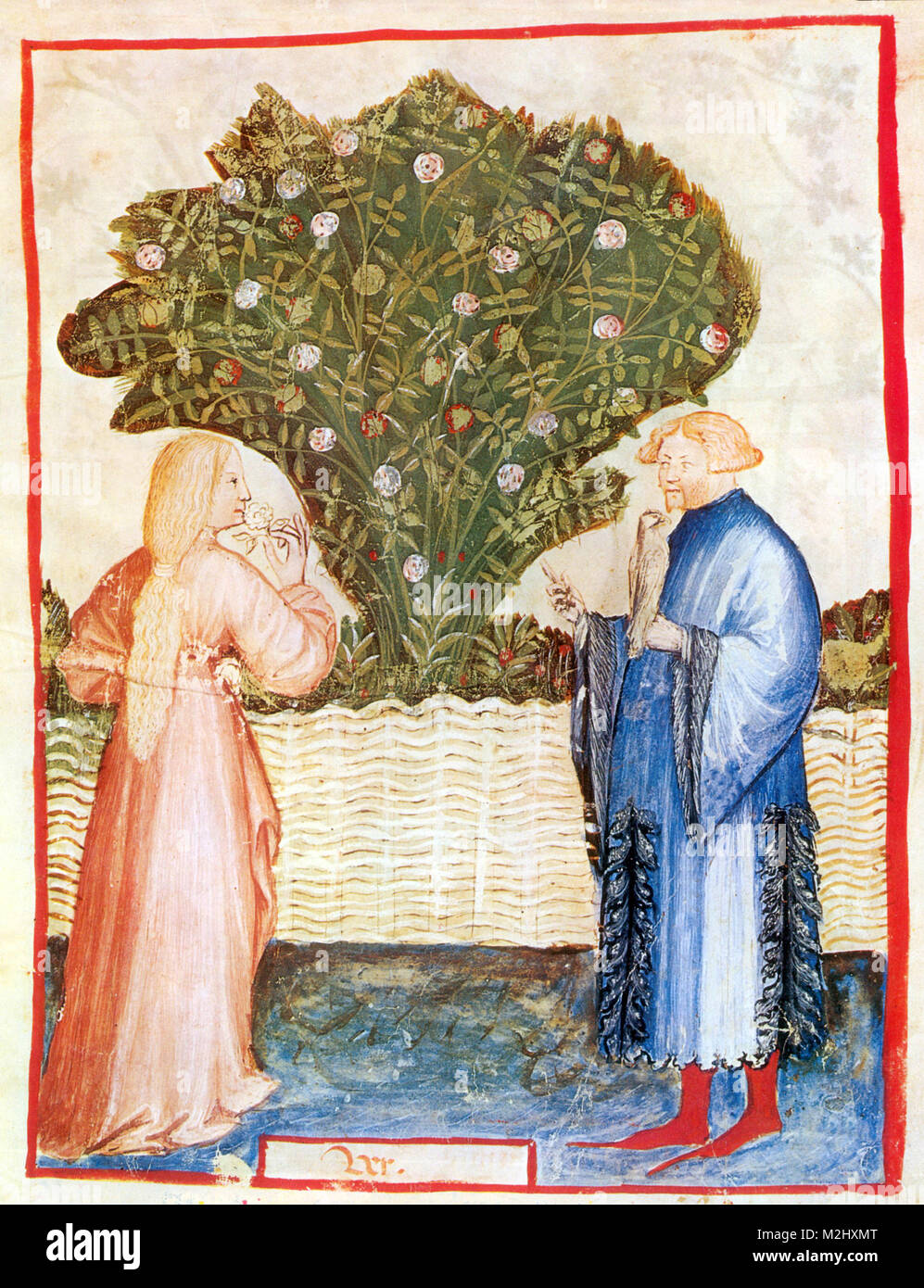 Tacuinum sanitatis 14th century medieval hi-res stock photography and ...