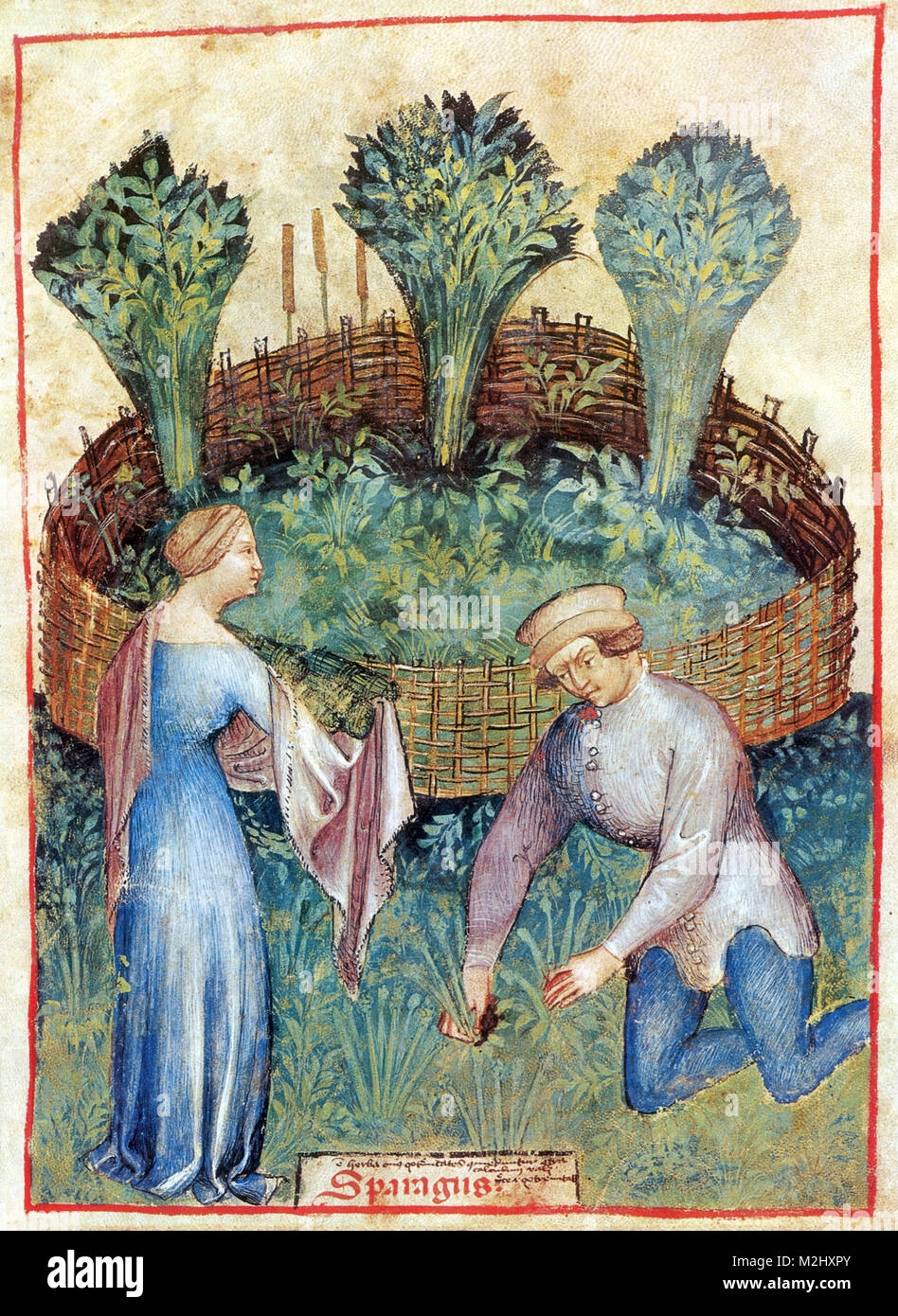 Medieval agriculture hi-res stock photography and images - Alamy