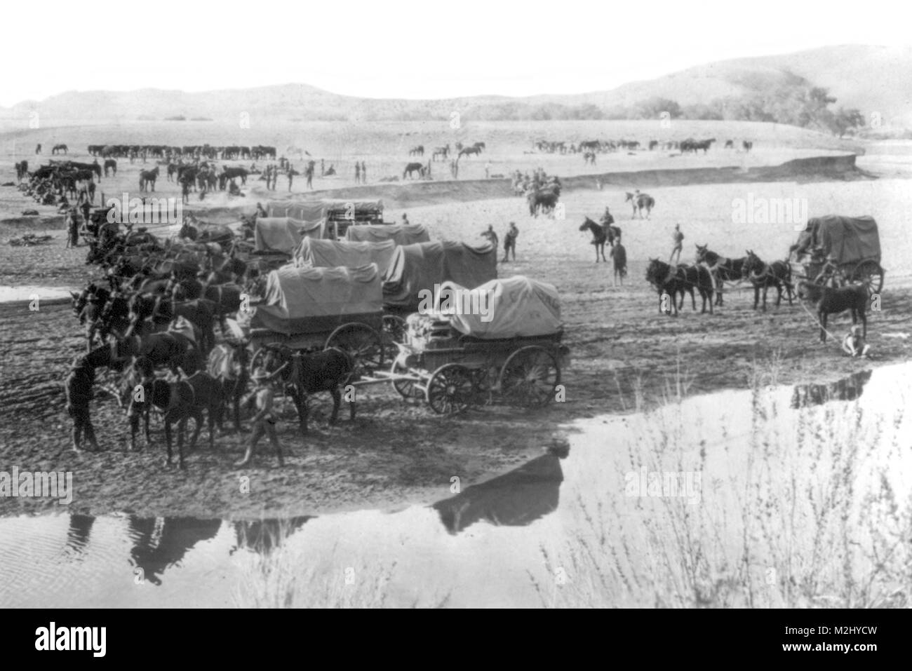 Pancho Villa Expedition, Army Wagon Pack Train, 1916 Stock Photo - Alamy