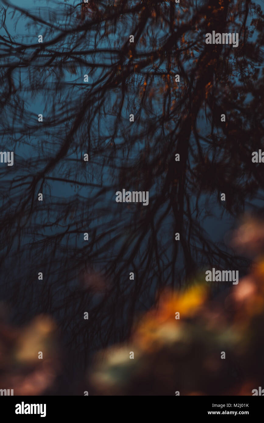 Moody book cover hi-res stock photography and images - Alamy