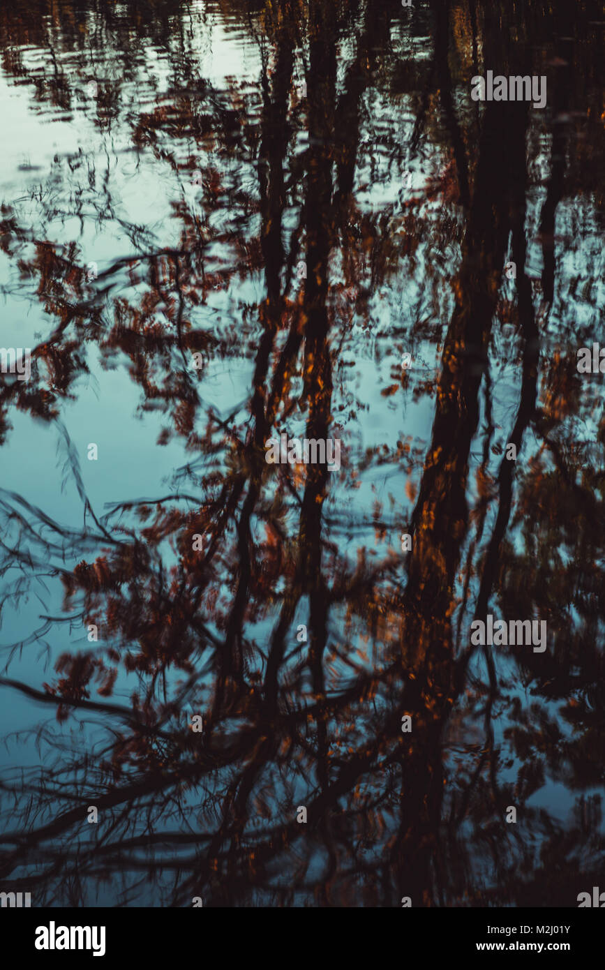 Moody book cover hi-res stock photography and images - Alamy