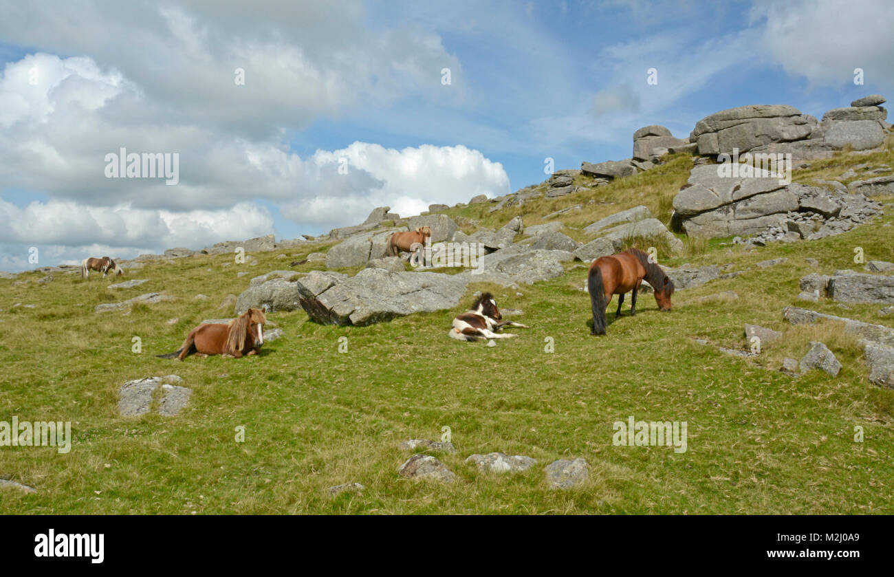 Roos Tor, Dartmoor National Park, Devon Stock Photo - Alamy