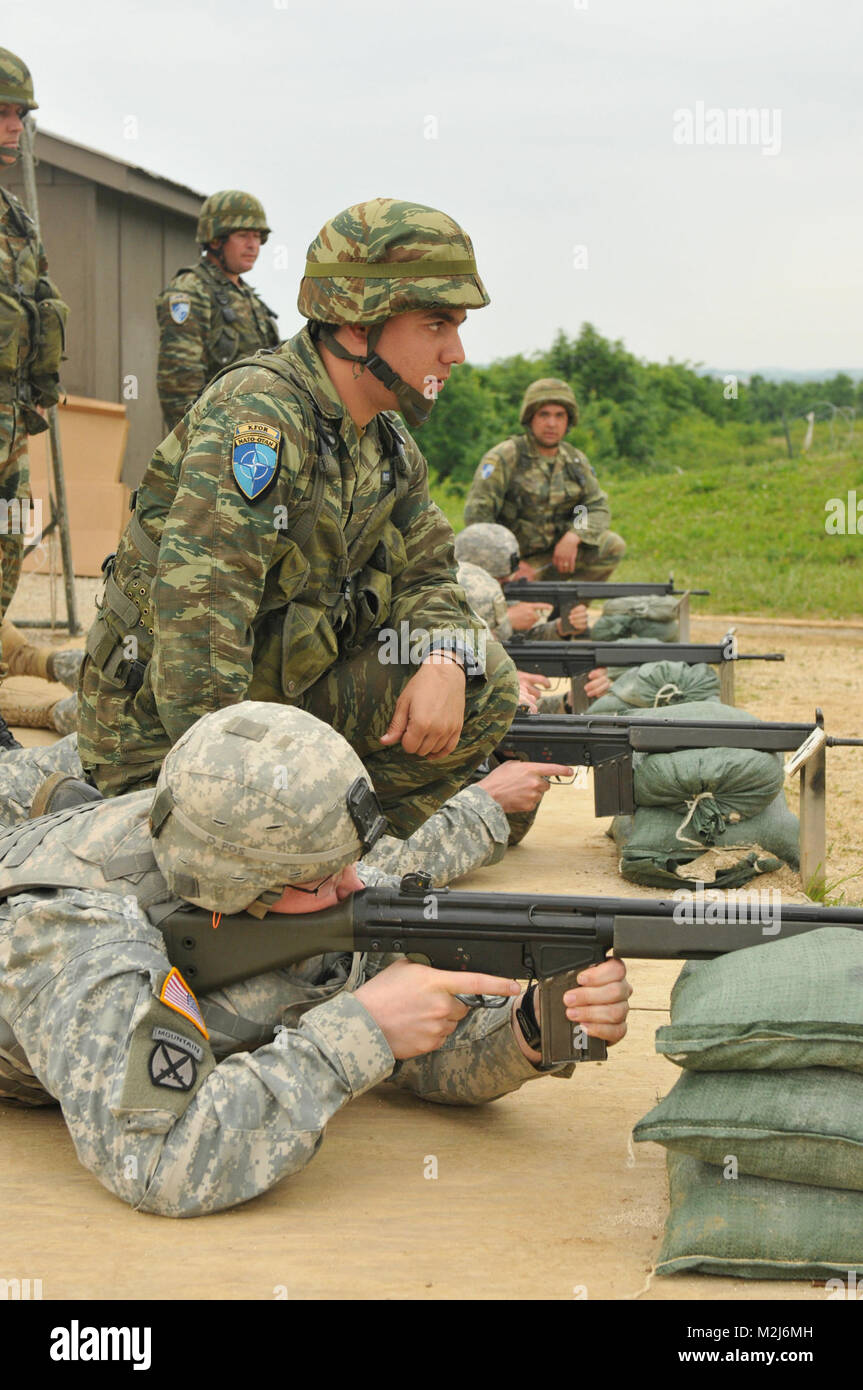 Sgt. Kenneth Schaub, 141st Maneuver Enhancement Brigade, Multinational ...