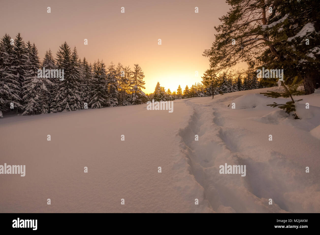 Winter snowy landscape Stock Photo - Alamy
