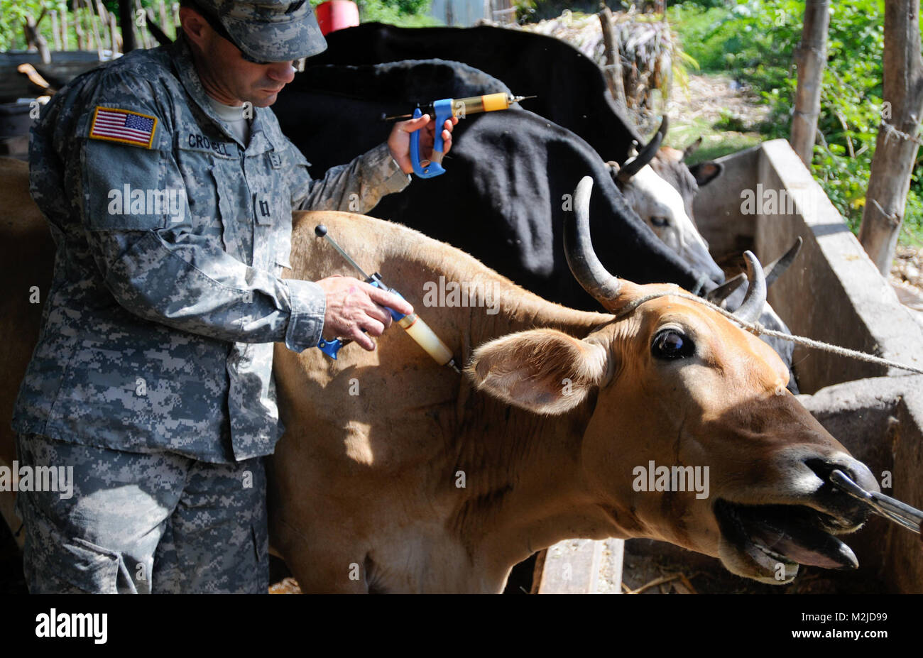 349th combat support hospital hi-res stock photography and images - Alamy