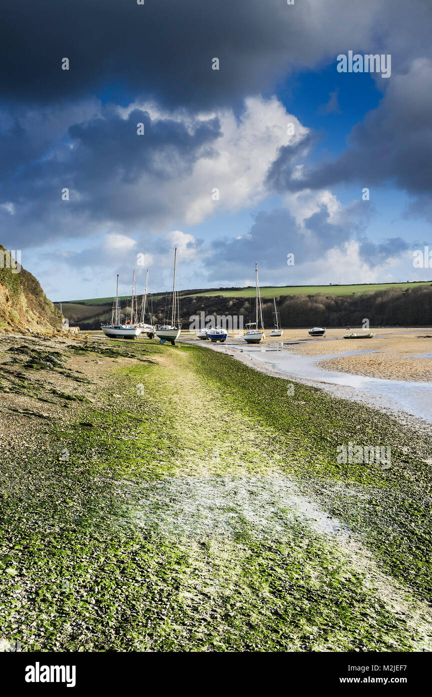 The Gannel River at low tide in Newquay Cornwall Stock Photo - Alamy