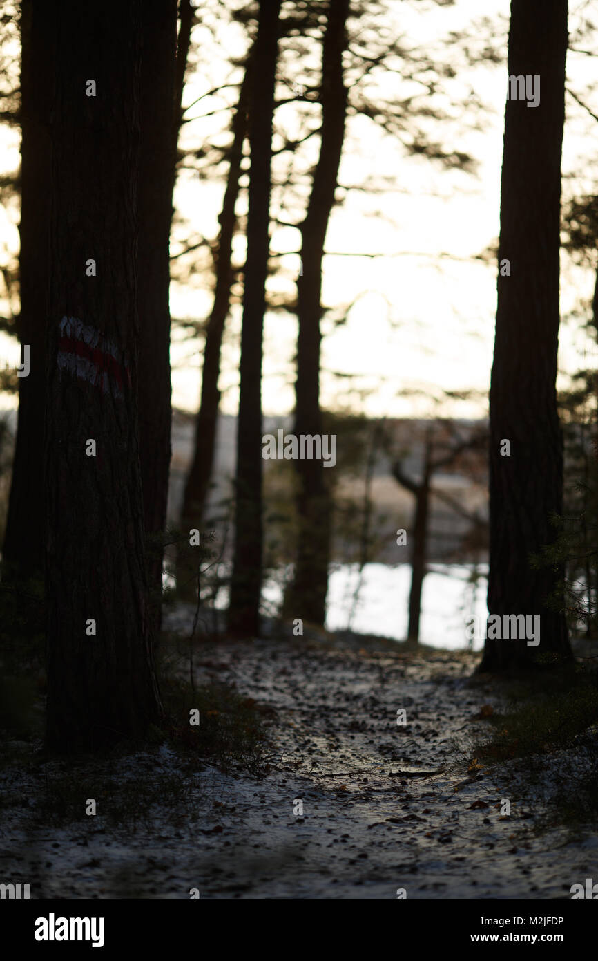 Weather picture first snow hi-res stock photography and images - Alamy