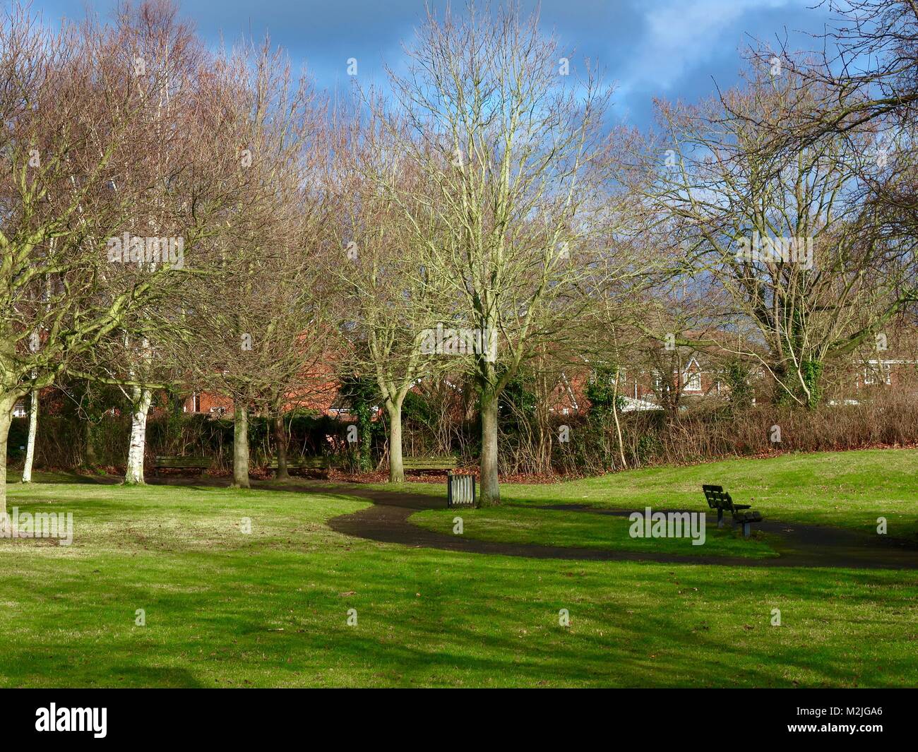 Open green space, trees and parkland on the Grange Farm housing ...