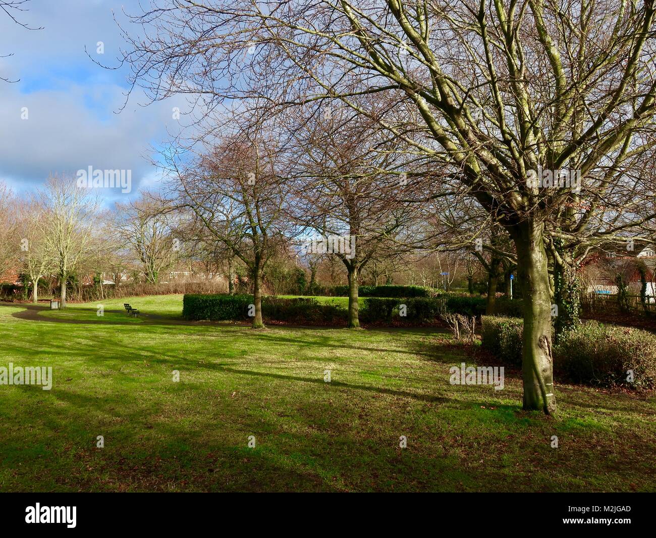 Open green space, trees and parkland on the Grange Farm housing ...