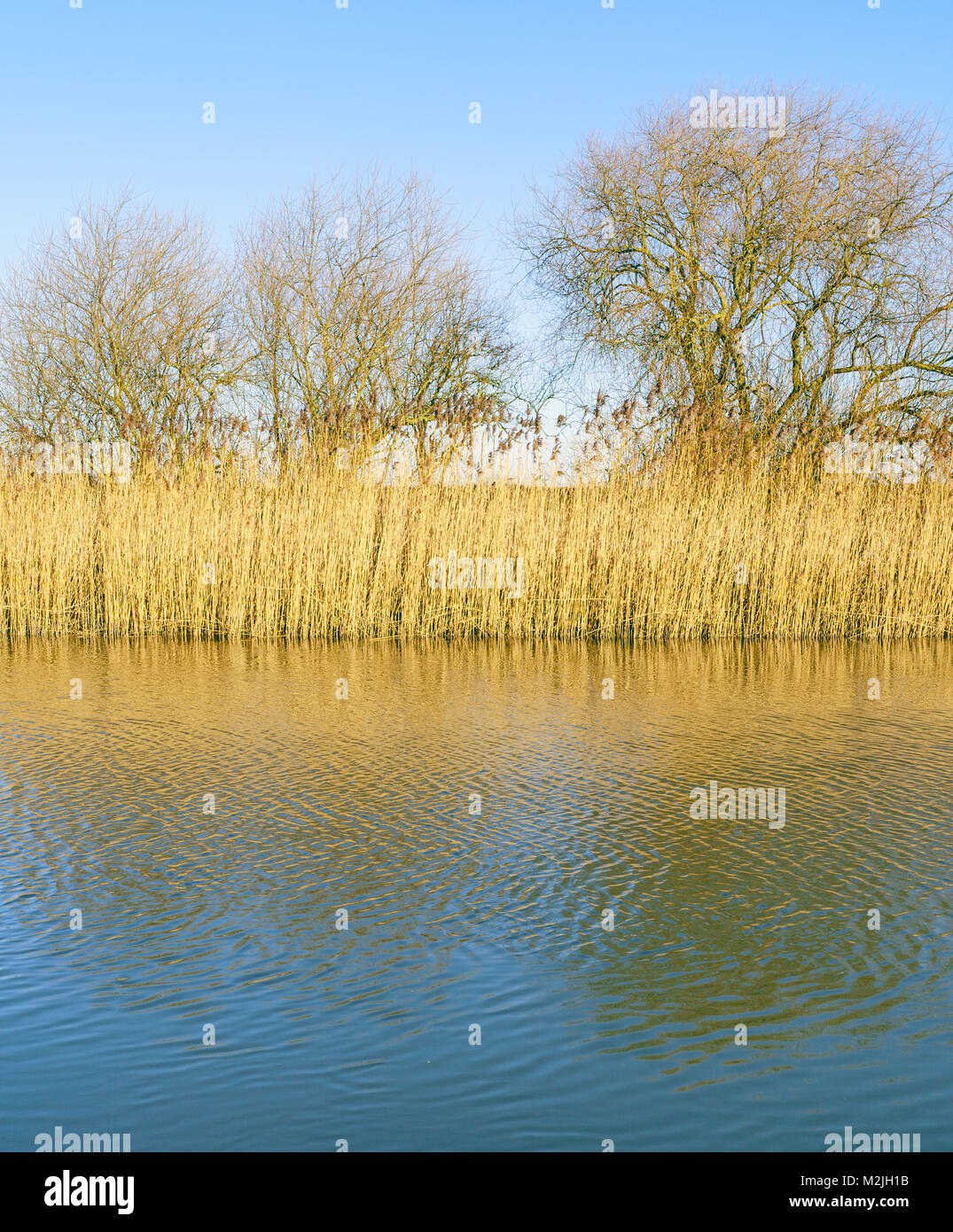 Light blue hull hi-res stock photography and images - Alamy