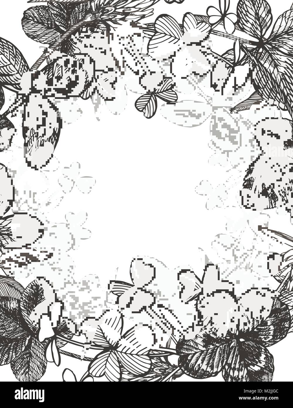 Hand-drawn graphic clover flower illustration. Painted botanical three ...