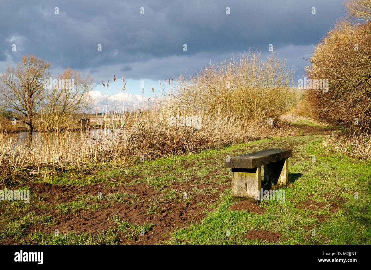 A view of the Wherrymans Way long distance path by the River Yare on ...