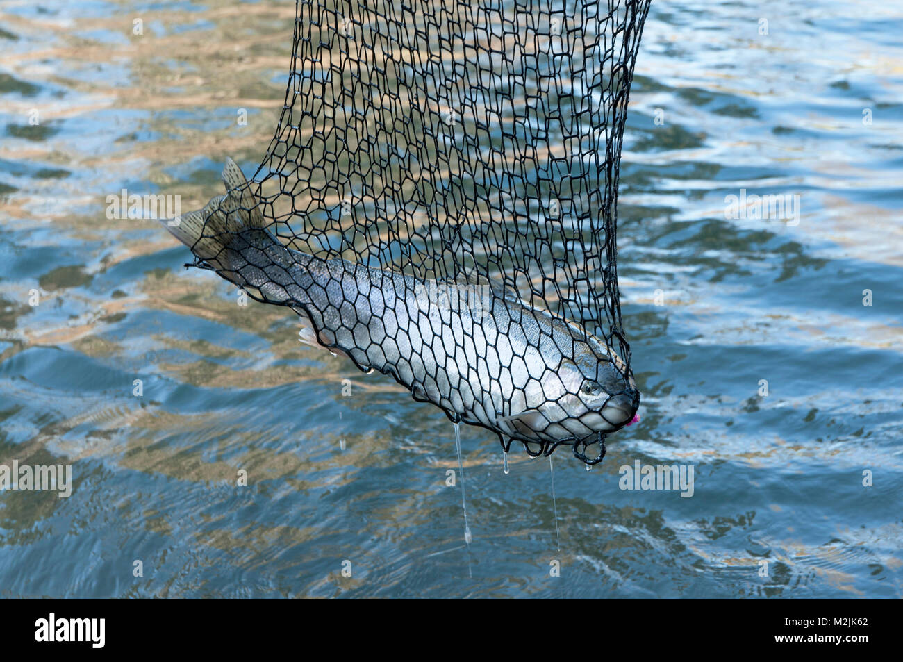 Siletz reservation hi-res stock photography and images - Alamy