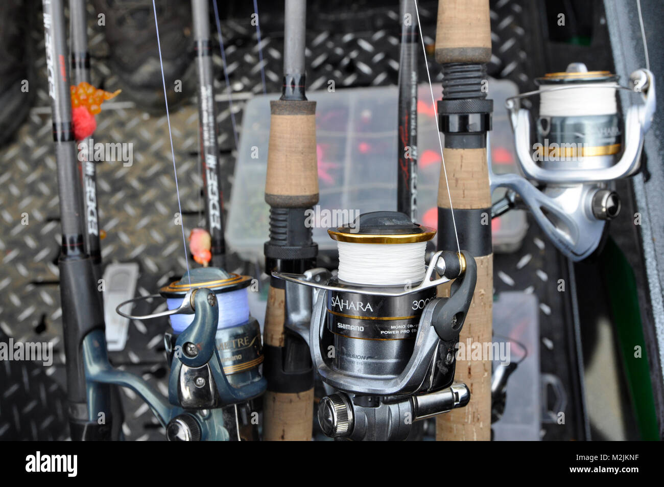 Steelhead trout fishing on the Silez River oil Oregon Stock Photo - Alamy
