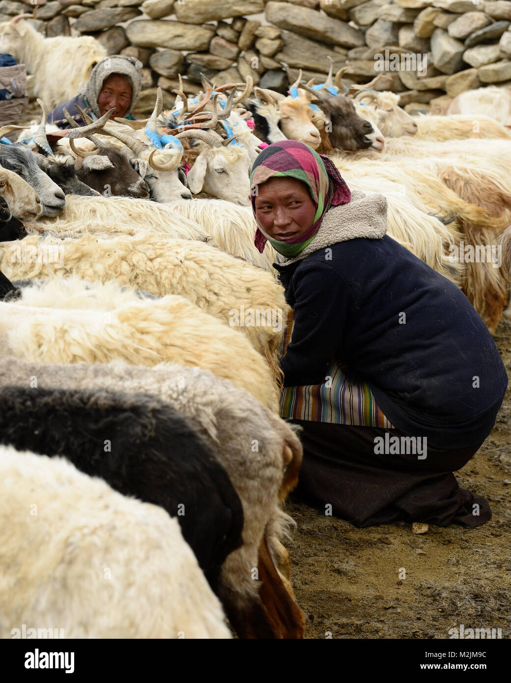 TIBET, CHANGTANG, LADAKH, INDIA - 06 JULY 2017: Stone homestead indian ...