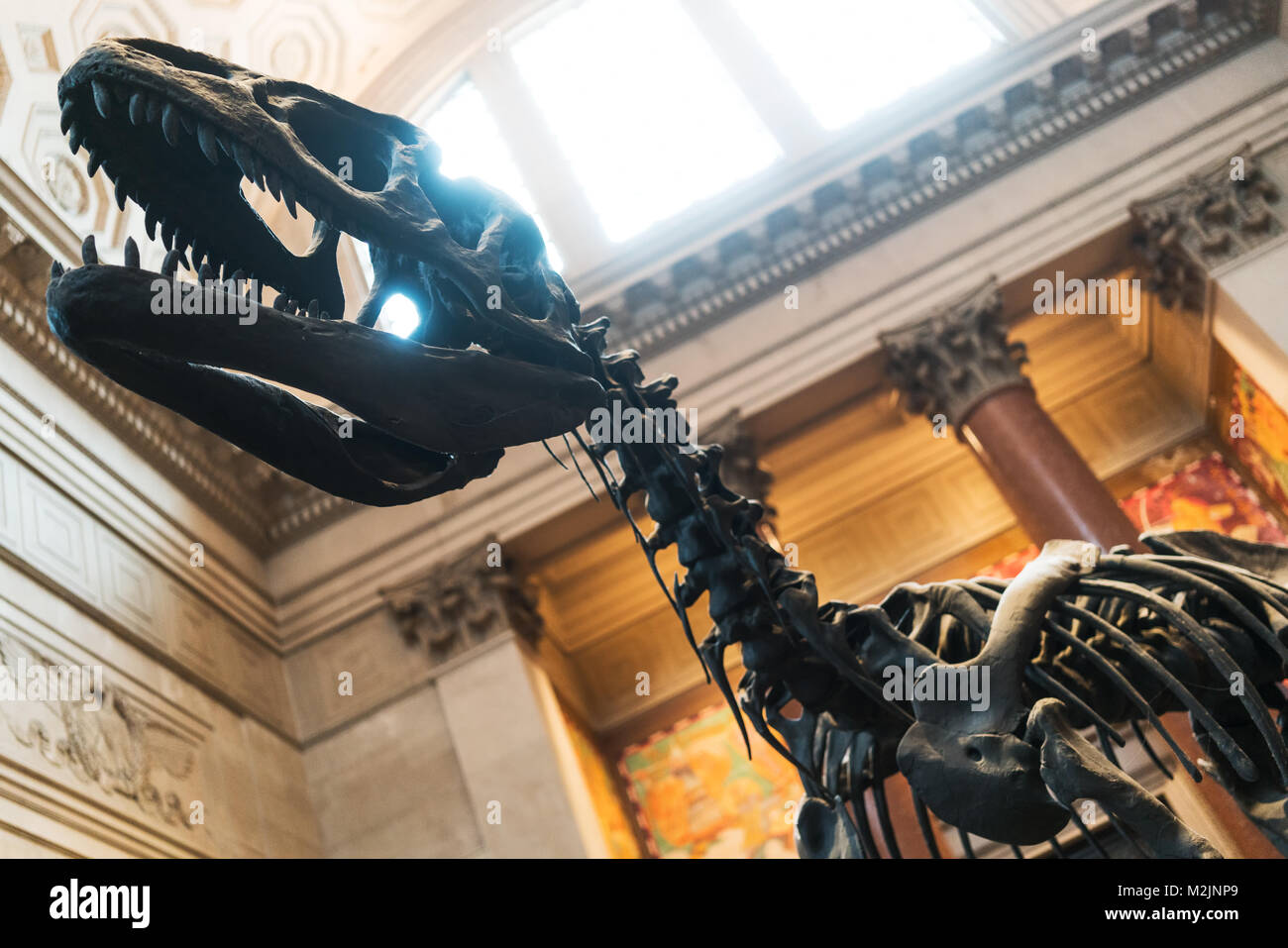 Megaraptor dinosaur hi-res stock photography and images - Alamy