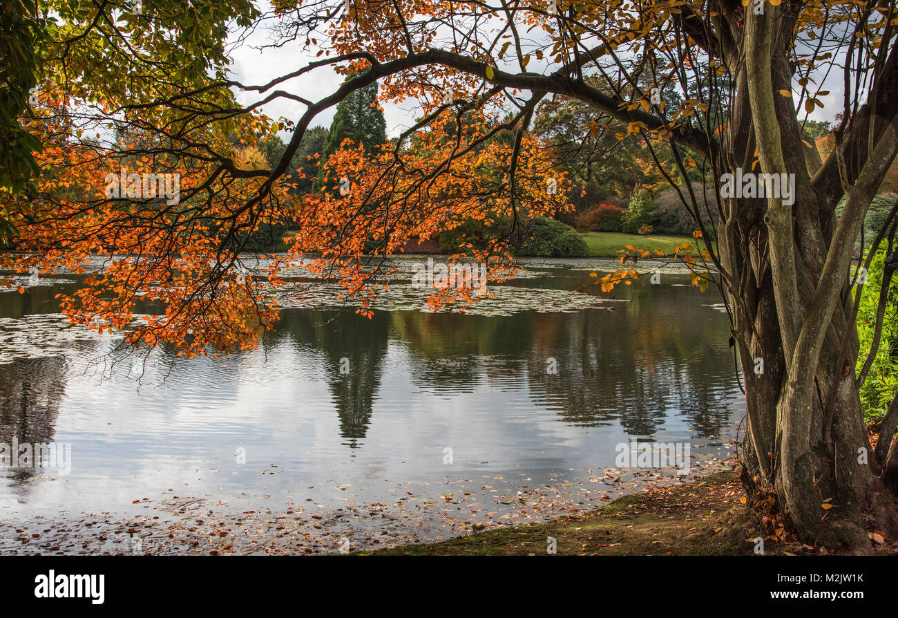 Sheffield Park And Garden High Resolution Stock Photography and Images ...