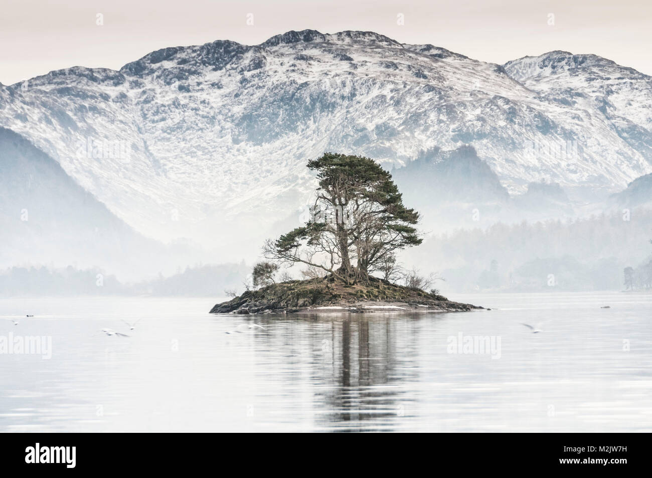 A tiny island with a single pine tree situated on Lake Derwentwater in ...