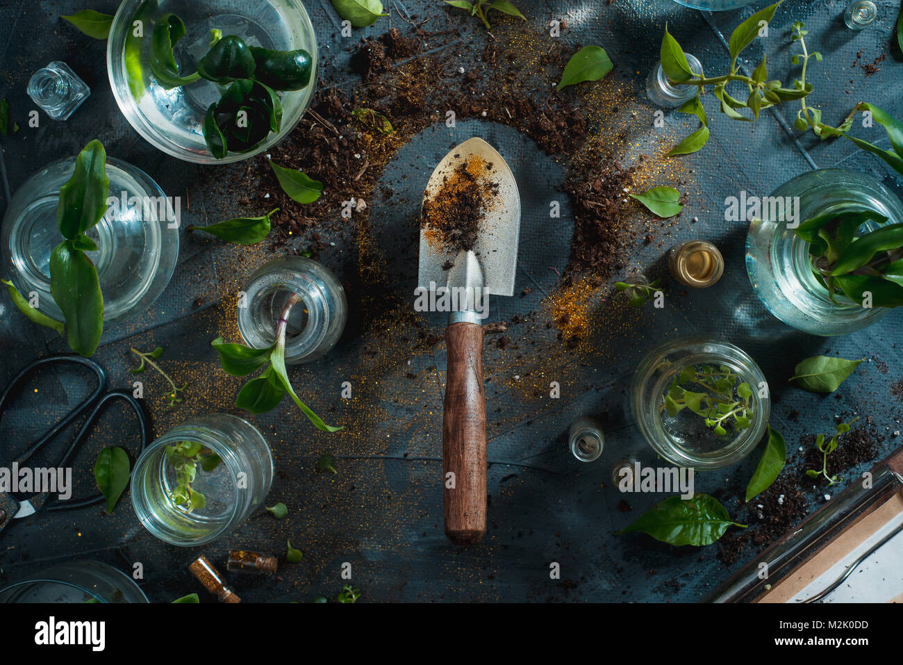 Life saving plant hi-res stock photography and images - Alamy