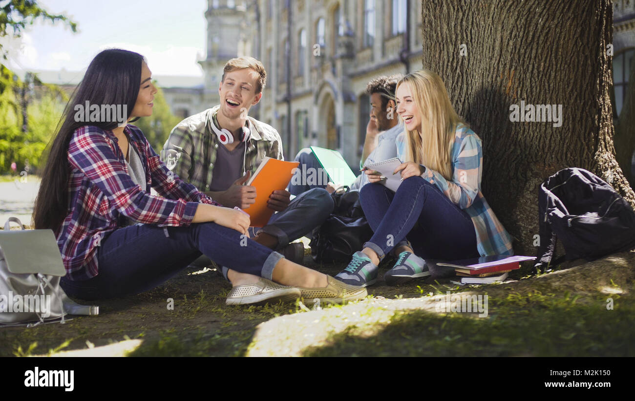 Group of friends sitting under tree talking to each other laughing ...