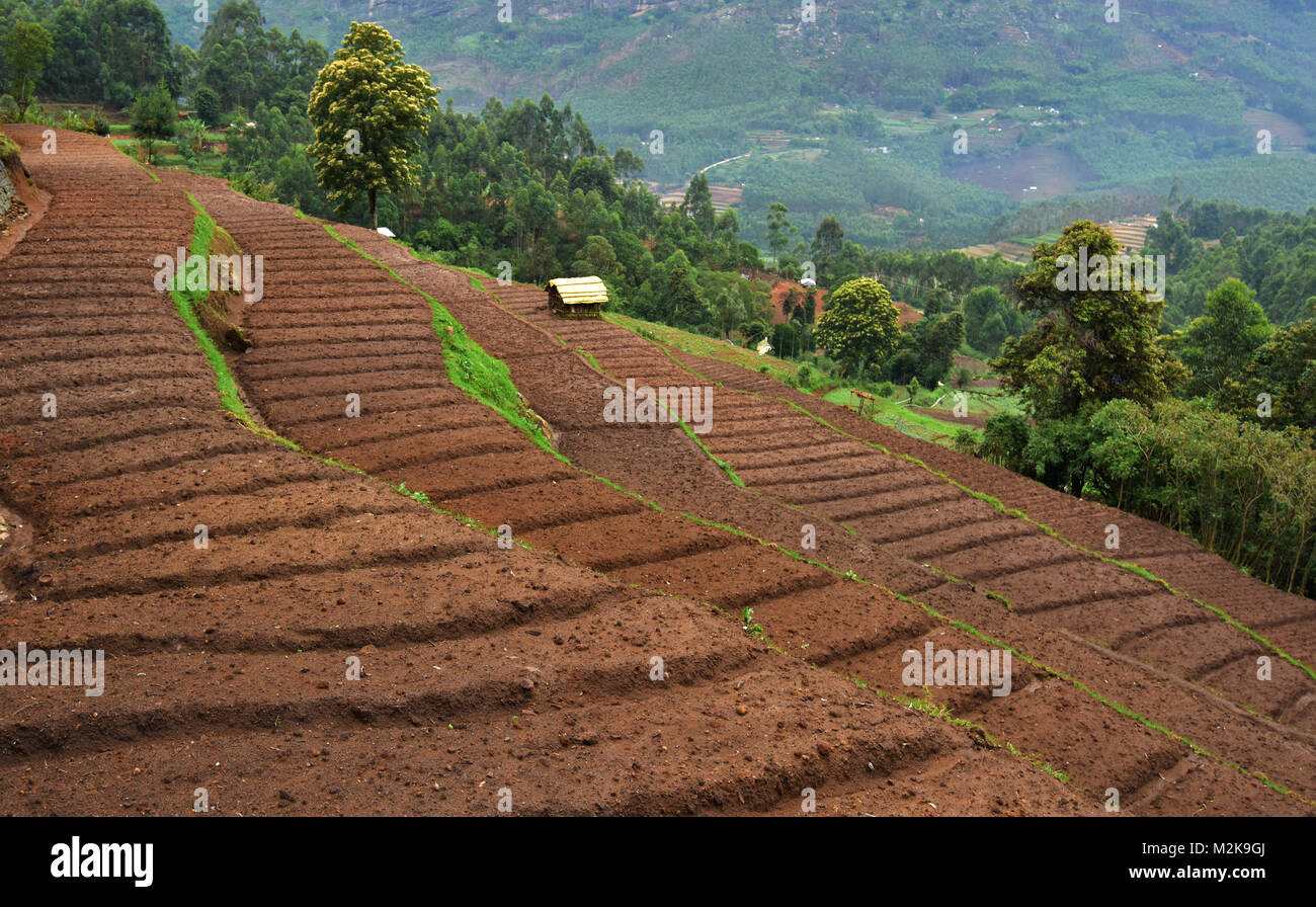 Kerala Soil Stock Photos & Kerala Soil Stock Images - Alamy