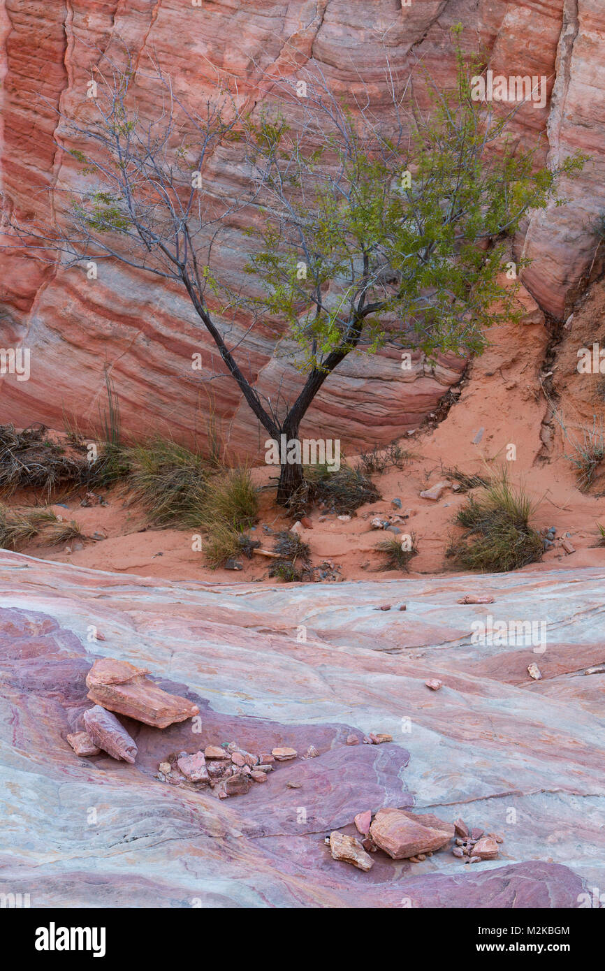 Stone strata hi-res stock photography and images - Alamy