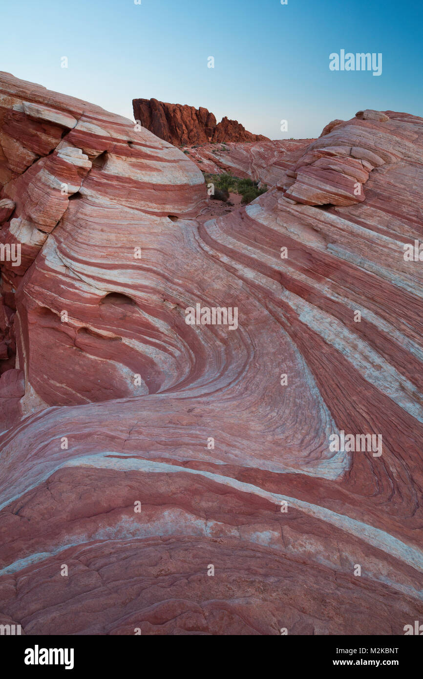 Colorful stone in Valley of Fire State Park, Nevada. USA Stock Photo ...
