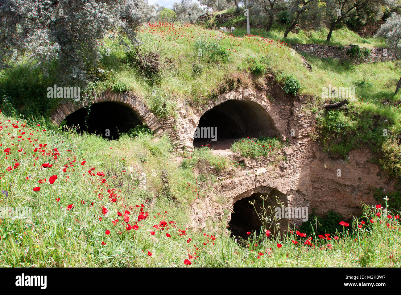 Nysa was Ancient City of Caria, Aydin Turkey Stock Photo - Alamy