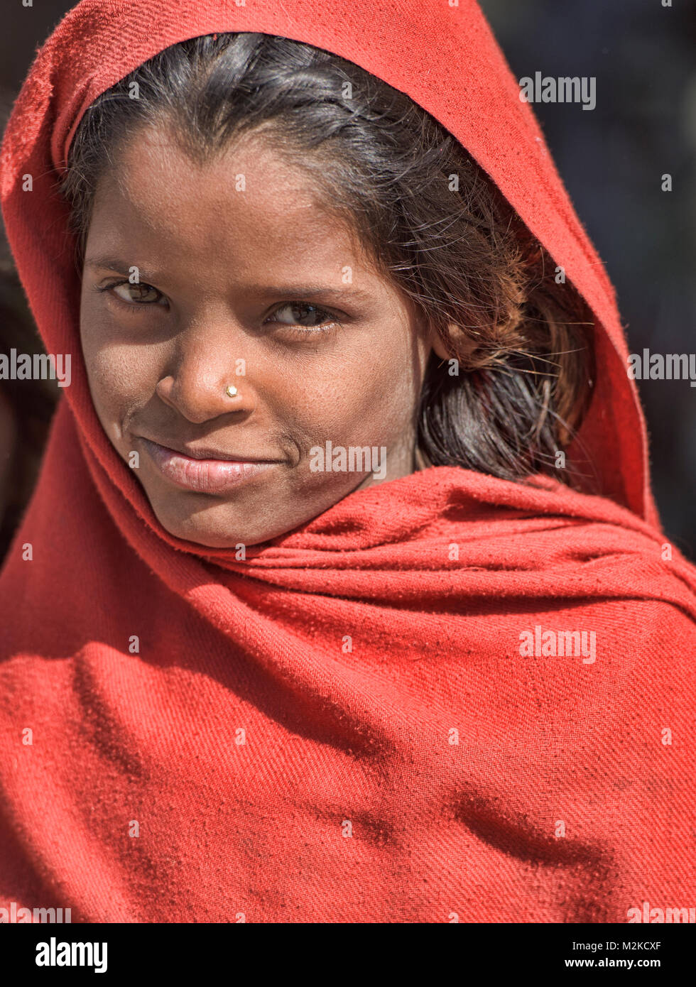 Portrait Beautiful Rajasthani Woman High Resolution Stock Photography ...