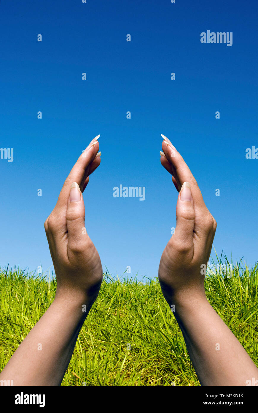 female open hands in gesture of protection, save the nature concept ...