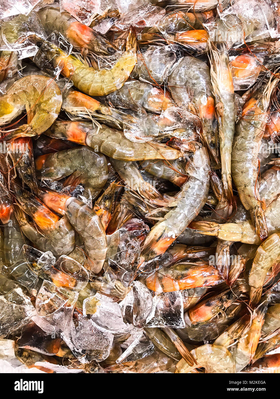 Fresh chilled prawns on ice Stock Photo - Alamy