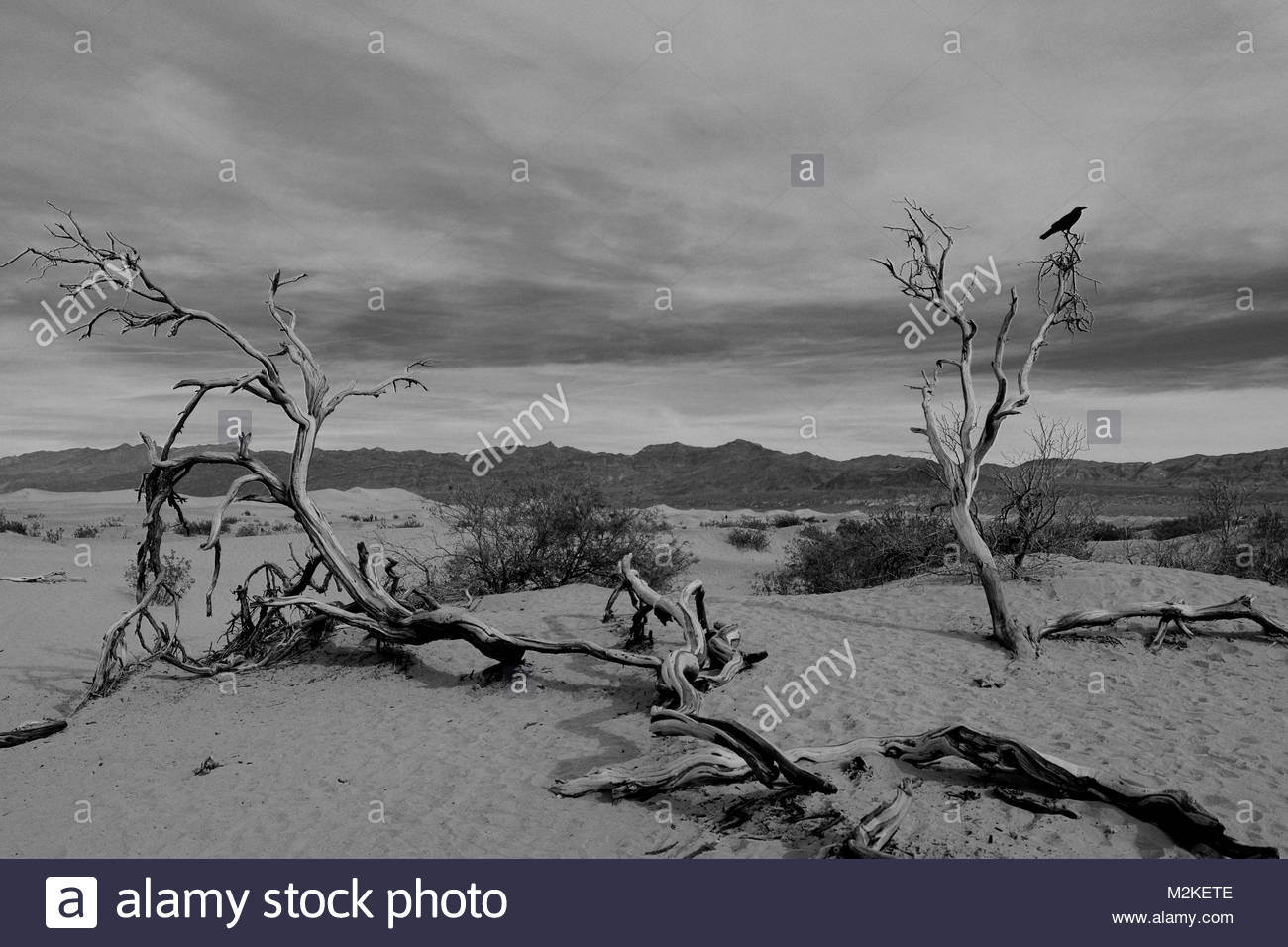 Dead Crow Park Stock Photos & Dead Crow Park Stock Images - Alamy